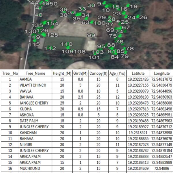 ground-survey-land-survey - Geoinfo Mapping Solution